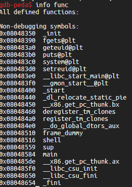 [root-me] ELF x86 - Stack buffer overflow basic 2 - IGNUs