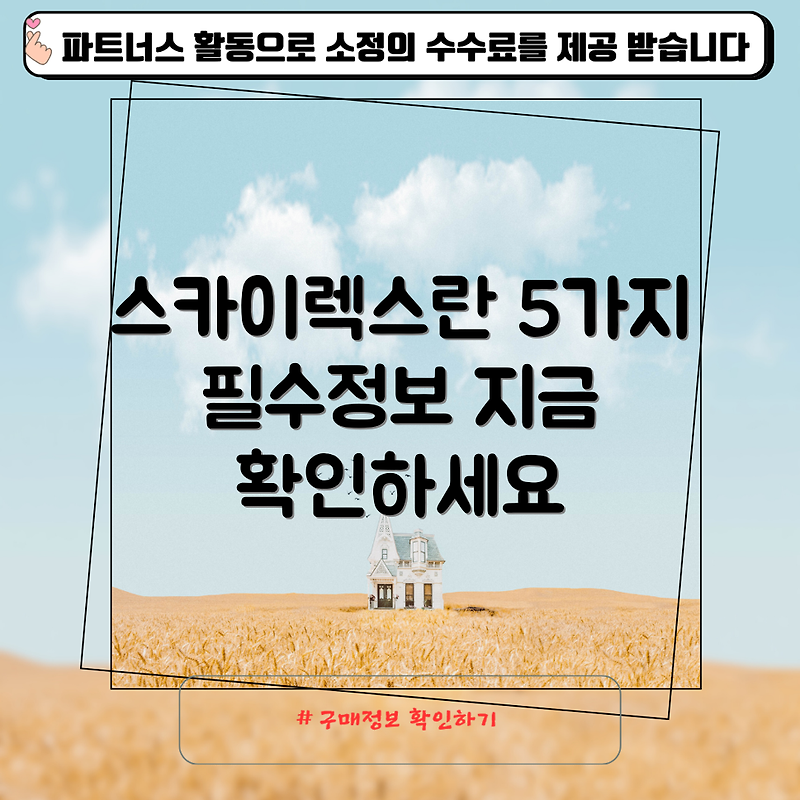 스카이렉스 정보 알아야 할 5가지