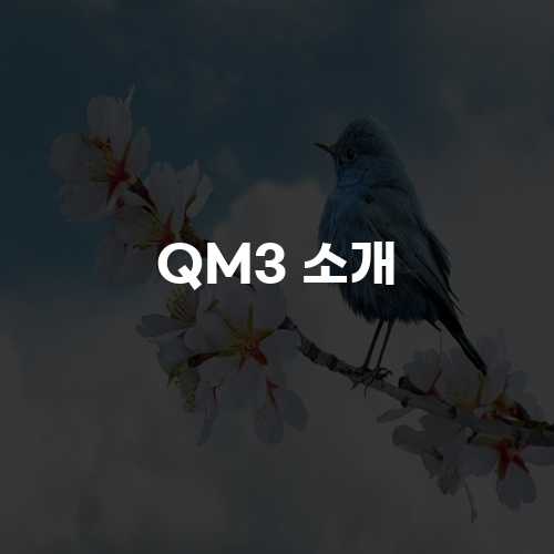 QM3 소개