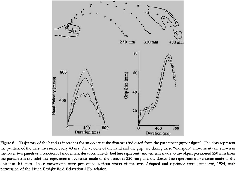 Human Hand Function Part 6