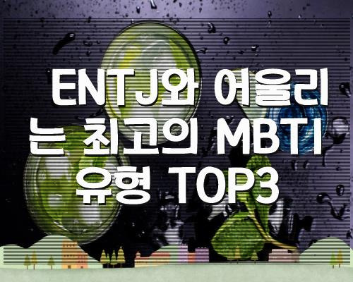 ENTJ와 어울리는 최고의 MBTI 유형 TOP3