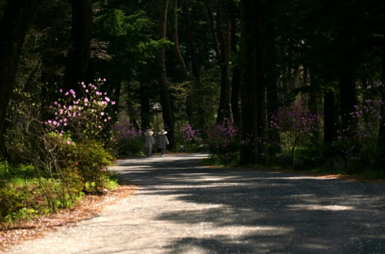 My Way :Frank Sinatra, Andre Rieu 바이올린