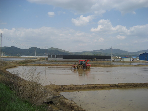 Leveling paddy field