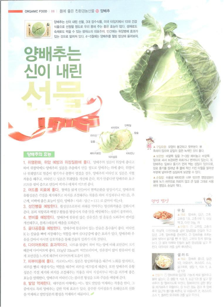 양배추의 효능