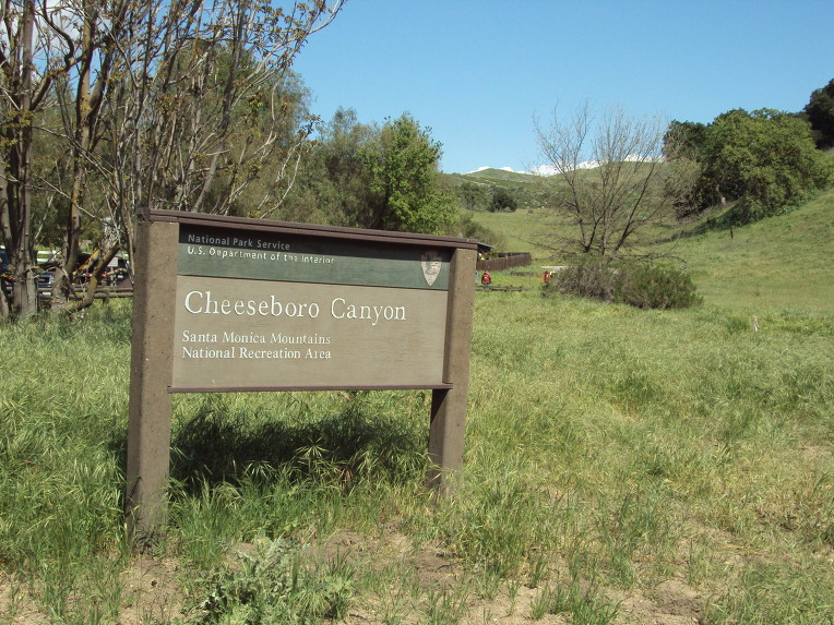 4/9/11 Palo Comado/ Cheeseboro Canyons