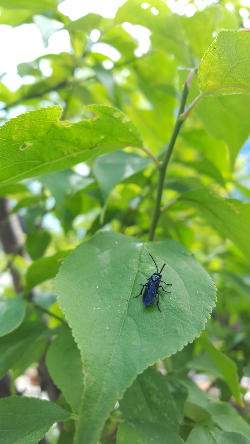[폰 사진]20150619테스트