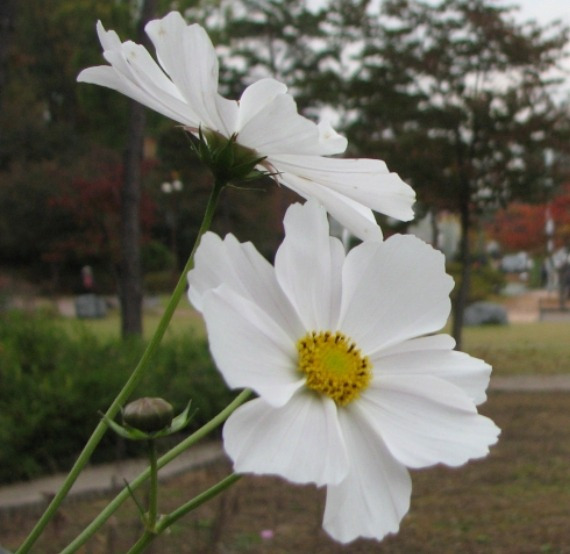 탈북자 대북전단(삐라) 살포에 관한 논평