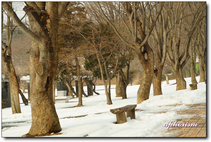 눈(김효근 작사,작곡).....G#.A key