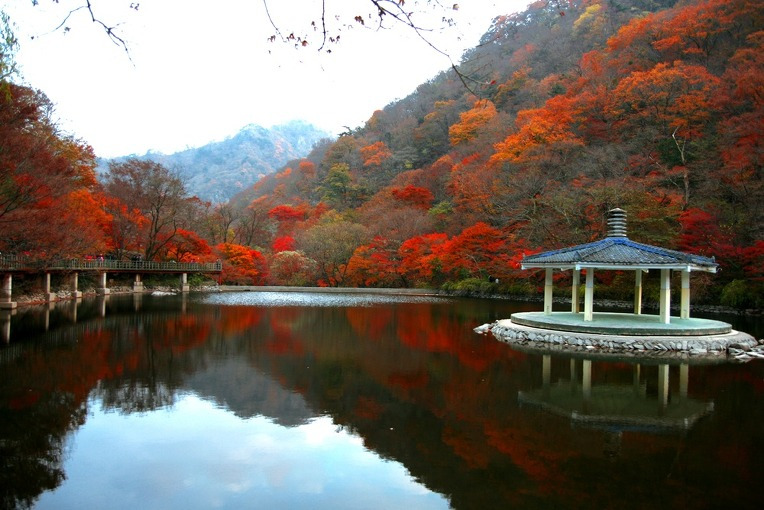 내장사 단풍과 함께하는 Mozart-Violin Concerto No.5 K219