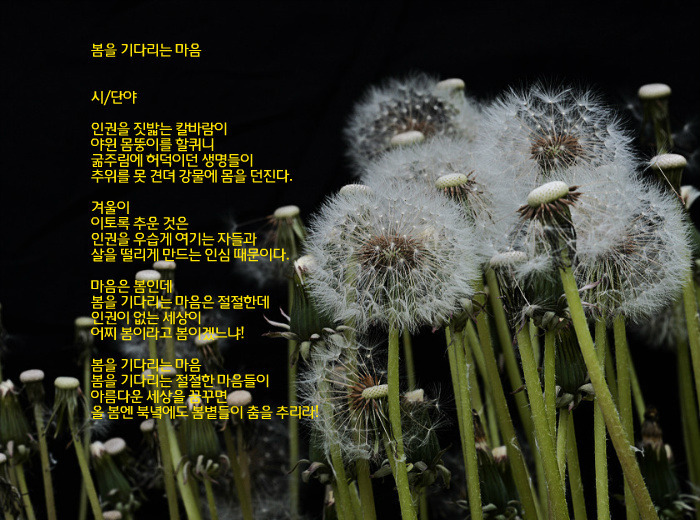 시크릿 (SECRET) - POISON (M/V)