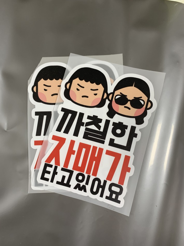 자동차 차량스티커 어린이스티커https://smartstore.naver.com/besamemucho/category ...