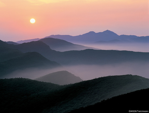 When you and I were young maggie / Foster and Allen