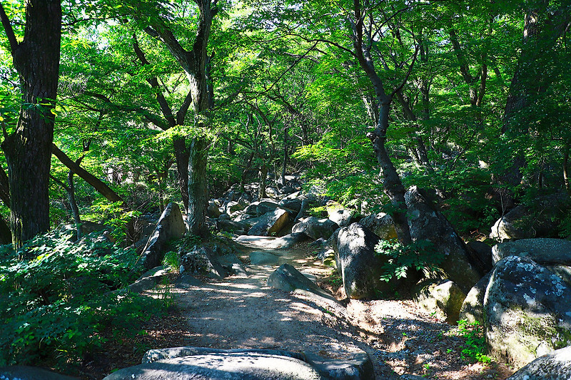 범어사 계곡 (금정산. 2018.06.01.금)