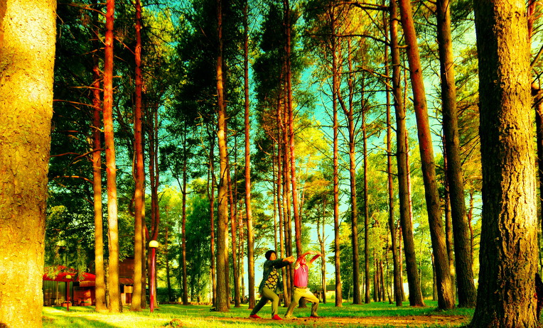 합살루의 아침(PEOLEO HOTEL)