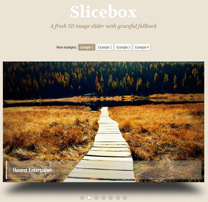 [Javascript Framework] Slicebox - slideshow :: Pragmatic Programmer