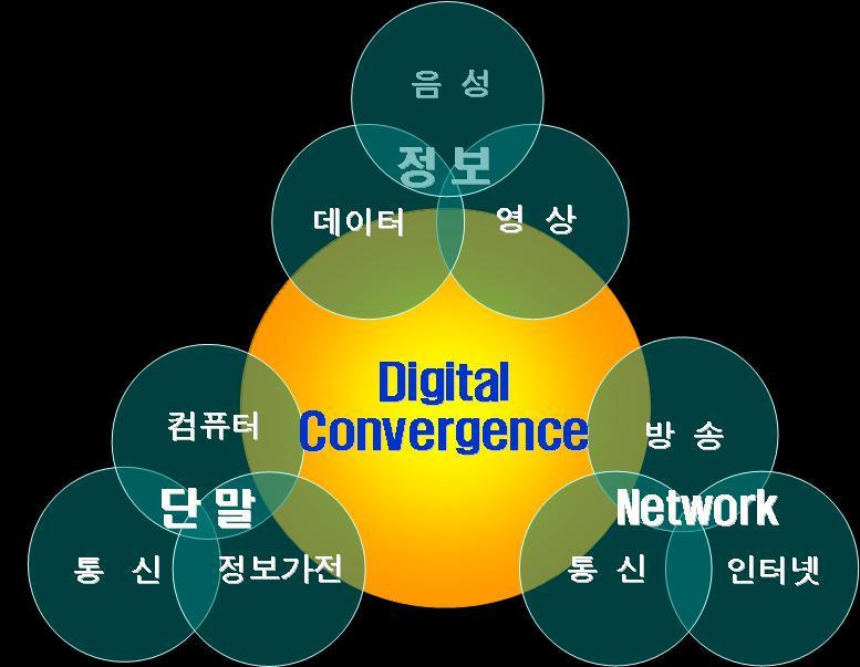 Digital Convergence :: 루키의 보석함