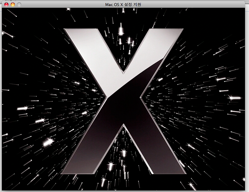 Snow Leopard 설치기 :: MACE's life blog