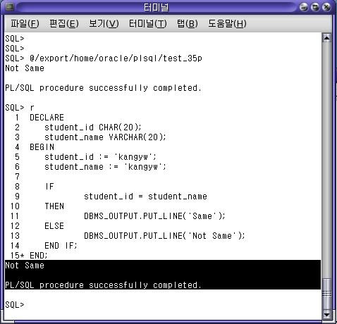 PL/SQL (2) - 데이터형