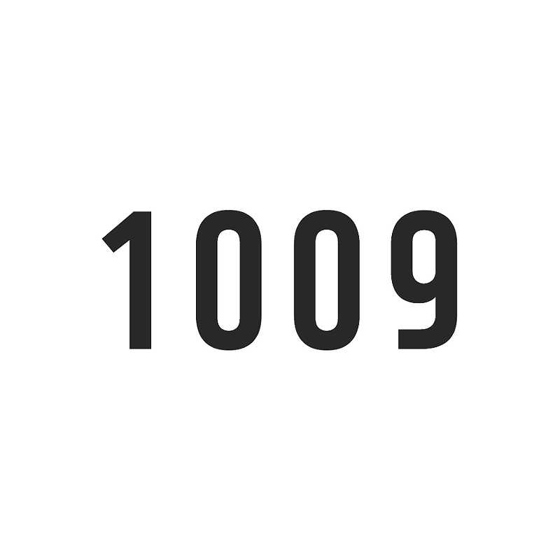 1009: [문법-입출력] 정수 한 개 입력받아 그대로 출력하기