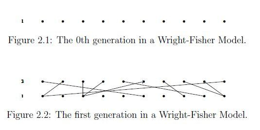 Gun들지마의 Bioinformatics 생명정보학 :: Wright-Fisher Model