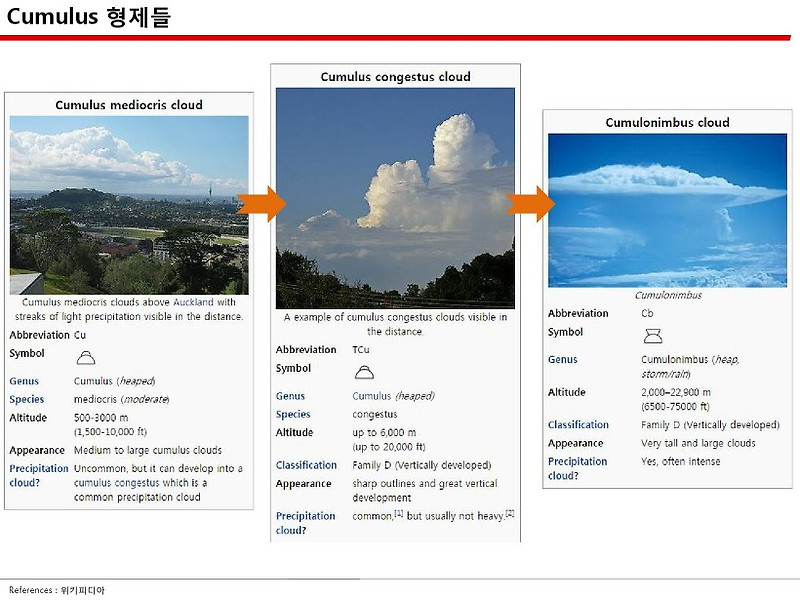 Towering cumulus and Cumulonimbus