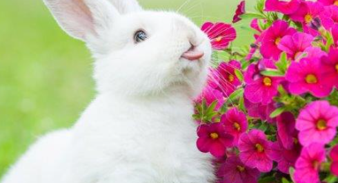 VMware의 Bridged vs Host-only vs NAT 차이점