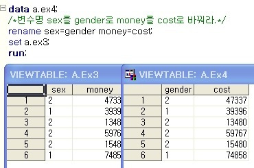 [SAS] SAS rename (SAS에서 rename을 이용해 변수명,칼럼명 바꾸는 방법)