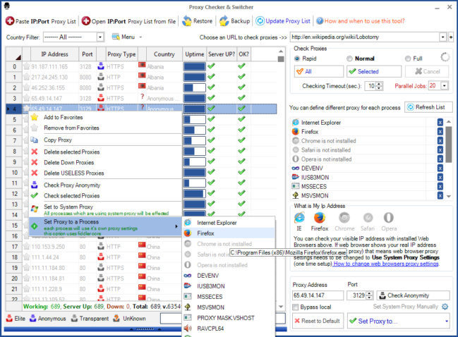 이것저것 :: Proxy Mask - Proxy Switcher