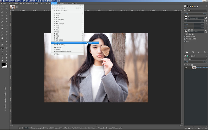 Gimp 와 Alien Skin 필터 :: JJangFree