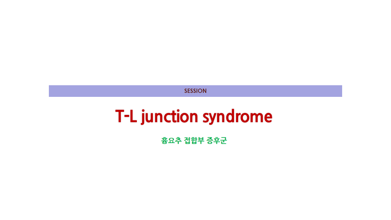 흉요추 연접부 증후군(TL junction syndrome)