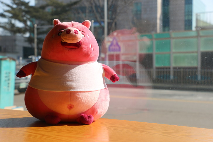 돼지인형 찌끄 zzigg 국내최초 EPS비즈폼인형