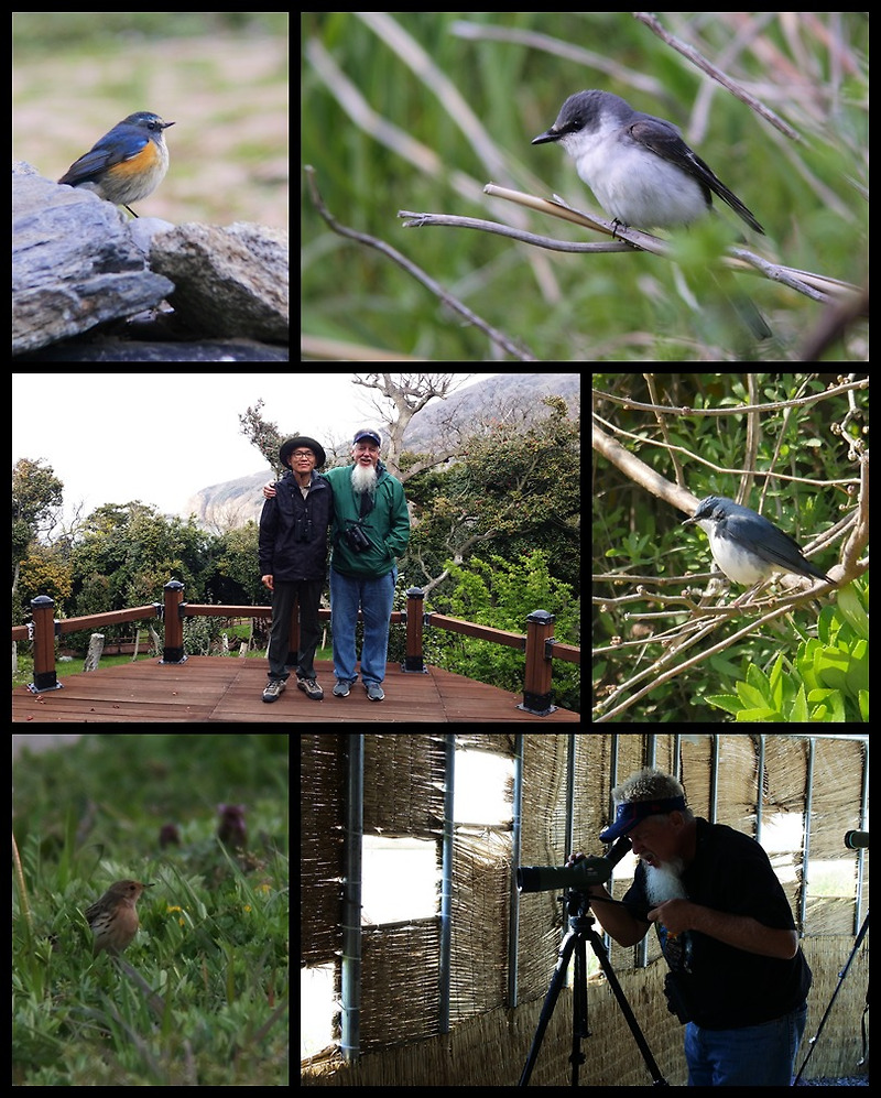 Guided Birding Tour in April 2017