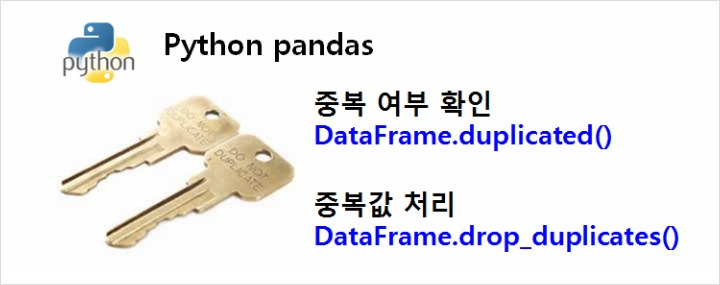 R Python 분석과 프로그래밍의 친구 By R Friend Python Pandas 중복값 확인 및 처리 Dataframeduplicated