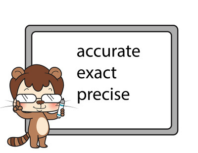 accurate, exact, precise 차이점 정리 - 라쿤잉글리시