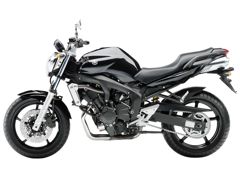 YAMAHA FZ6N — cOOLwARP.NET