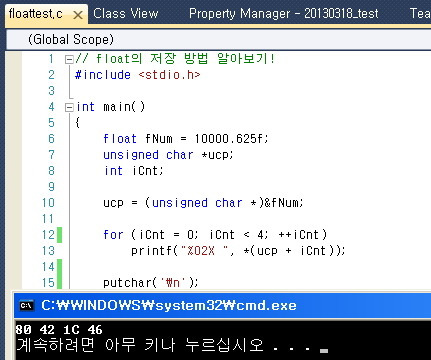 4 byte float format (float 형의 실수 저장 방식)