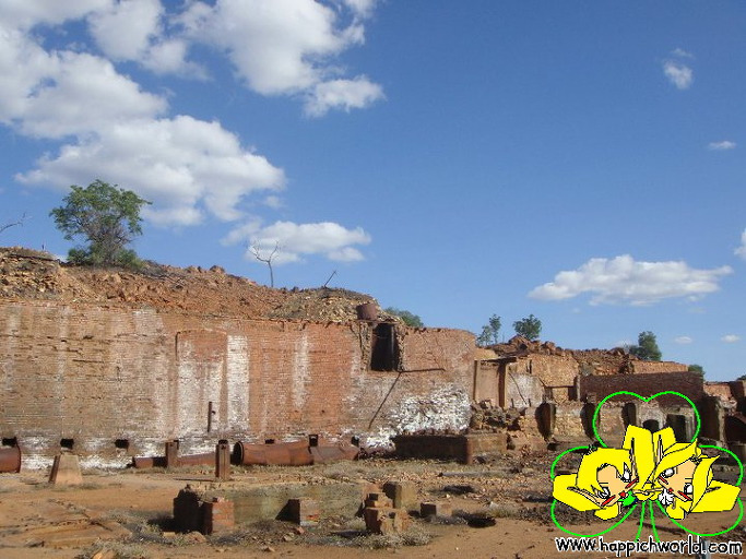 여기는 호주// Chilligo(칠리고) 2/2