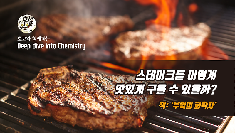 흐코의 Deep dive into Chemistry