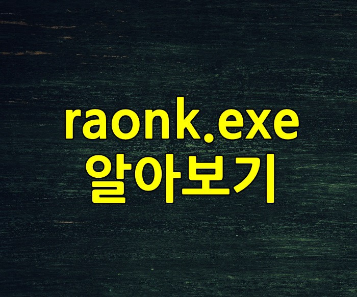raonk.exe 삭제 악성프로그램일까