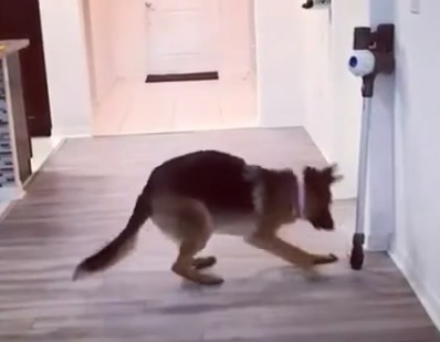 건설콘페이퍼 Engi's CONPAPER