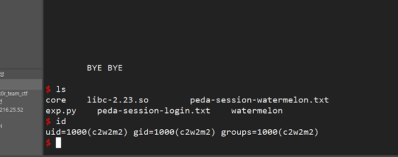 [Codegate] Watermelon