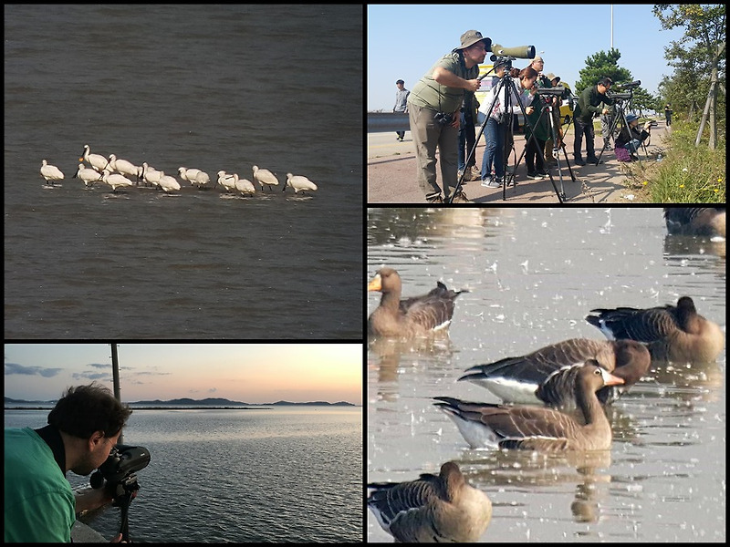Guided Birding Tour in October 2017