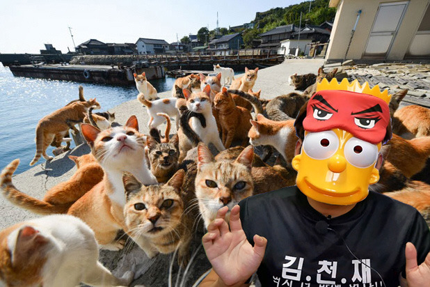 [김천재] 일본에는 고양이만 사는 섬이 있다 일본 고양이섬 아이노시마 소개 일본 경찰에게 매일 검문 당한 이야기