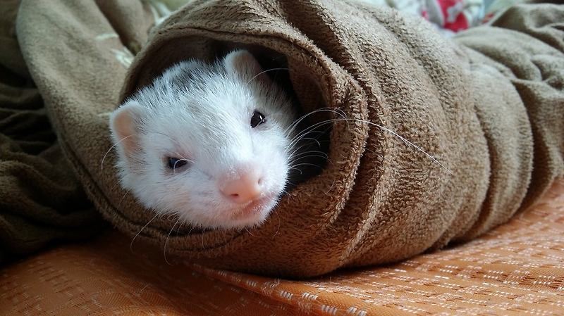 8년간 고생 많았다.