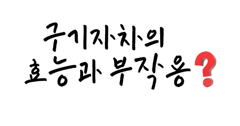 구기자 효능과 부작용 잡학다식 건강상식
