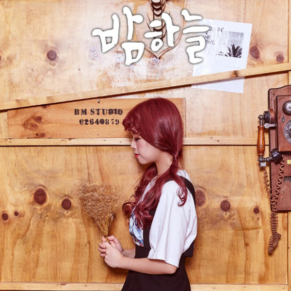 RAEUN (라은)-밤하늘[듣기/가사]