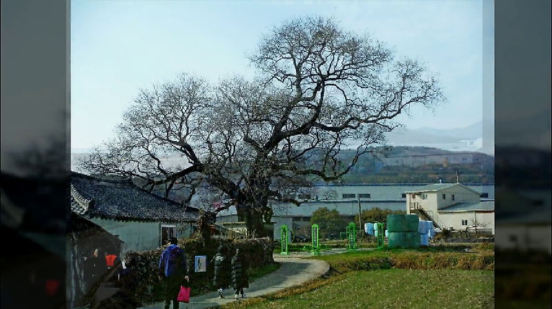 선산 성묘 영상＜2018.11.25＞