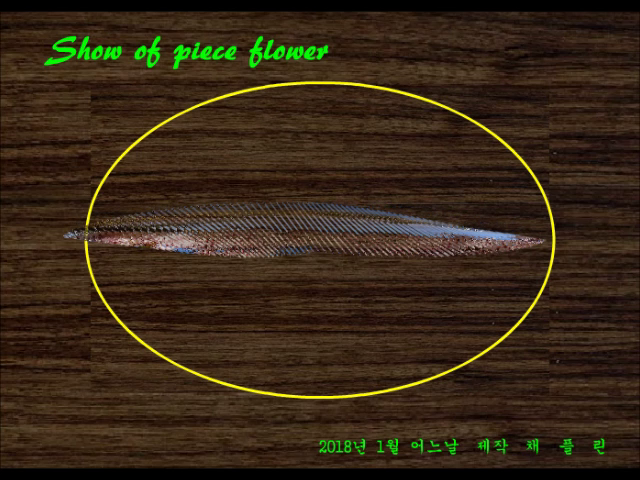 Show of piece fiower
