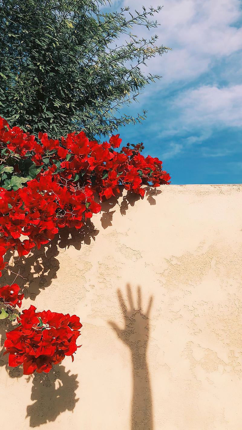 Welcome aboard on Global astroliner.