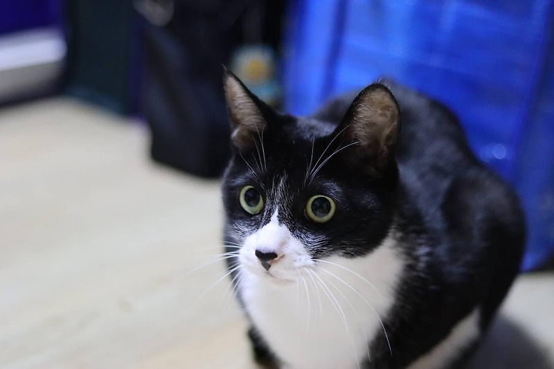 봉로그 — 봉로그